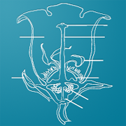 Login - ritcertified